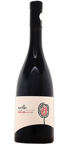 DEALU’ NEGRU BY JELNA - PINOT NOIR WILD YEAST 2017 Jelna pret de 45 lei ...
